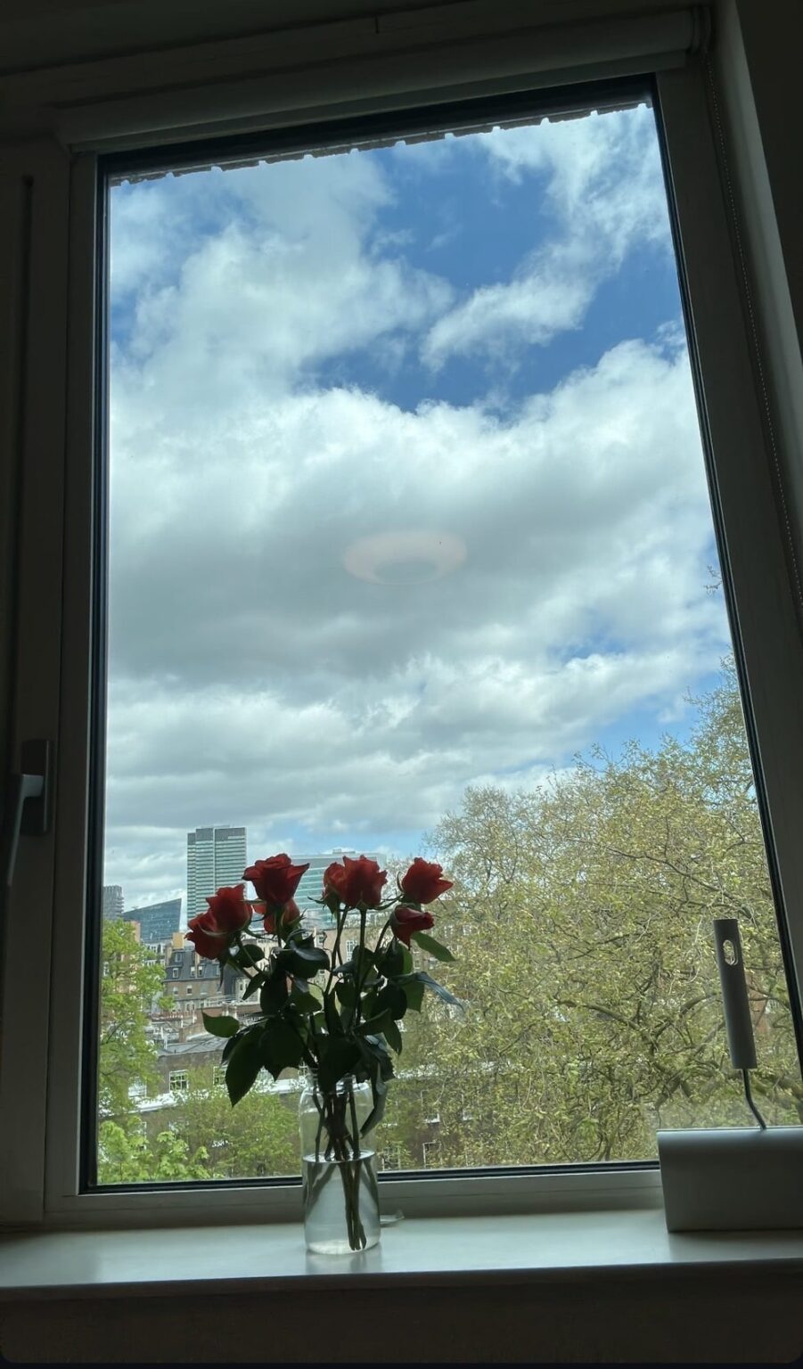 【名門大学UCL現役生が教える】奨学金・大学生活・就活に向けてのインターン | Moi Education